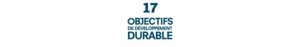 Les 17 Objectifs de Développement Durable (ODD) : Définition, enjeux