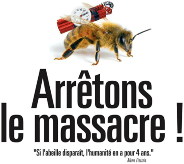 Causes et conséquences de la disparition des abeilles